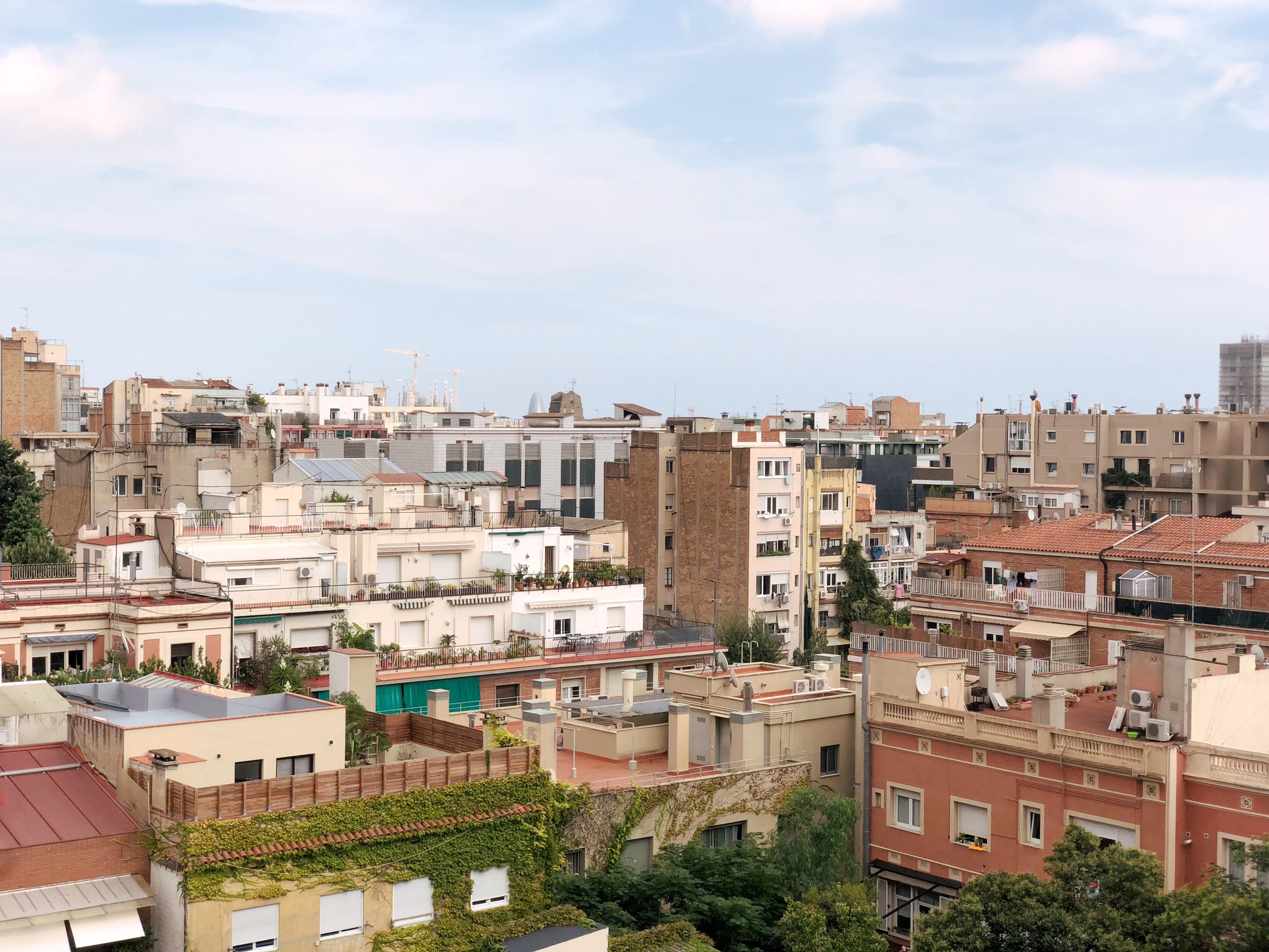 El Guateque - Contacto